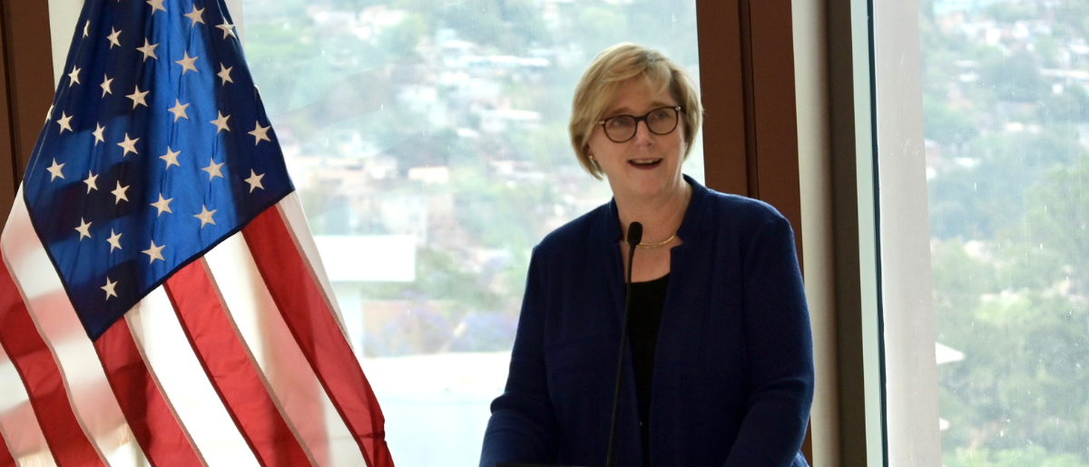Laura Dogu, The New U.S. Ambassador To Venezuela, Is a Veteran Of ...